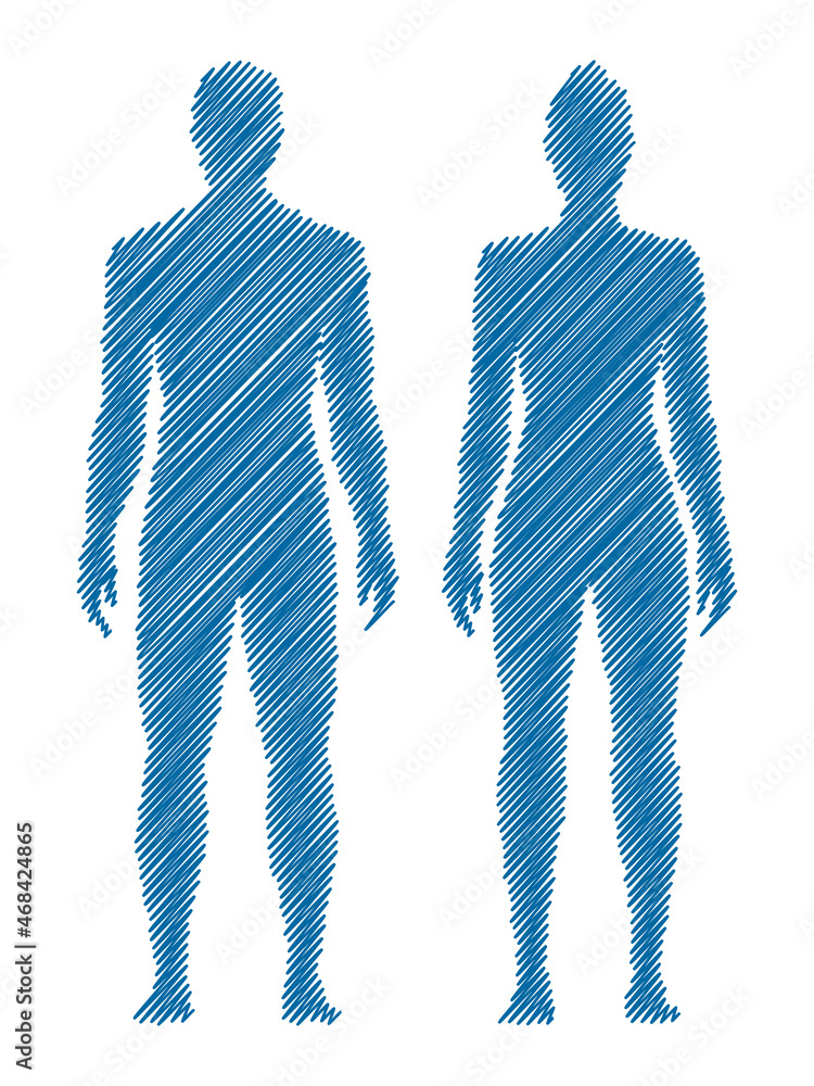 Male and female body vector sketch drawing, isolated on white ...