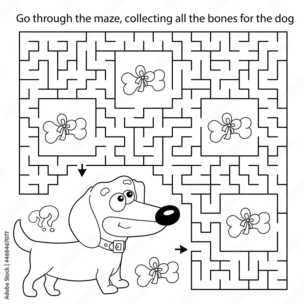 Dog Mazes
