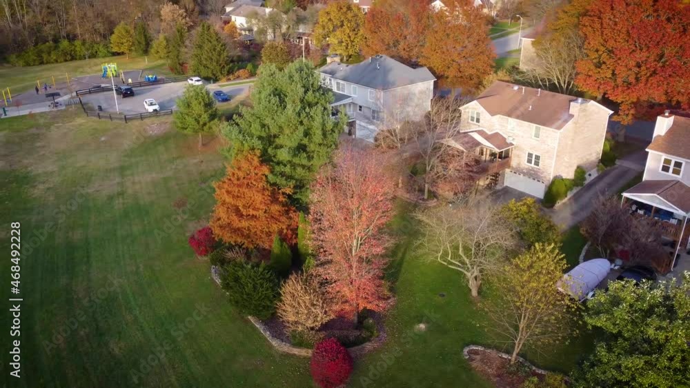 Circling around brightly colored autumn trees in red, yellow, orange ...