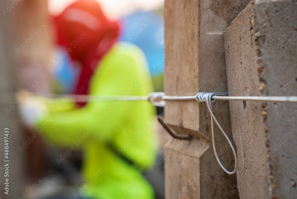 Agriculture farmers wear gloves work by hand installation of wire ...