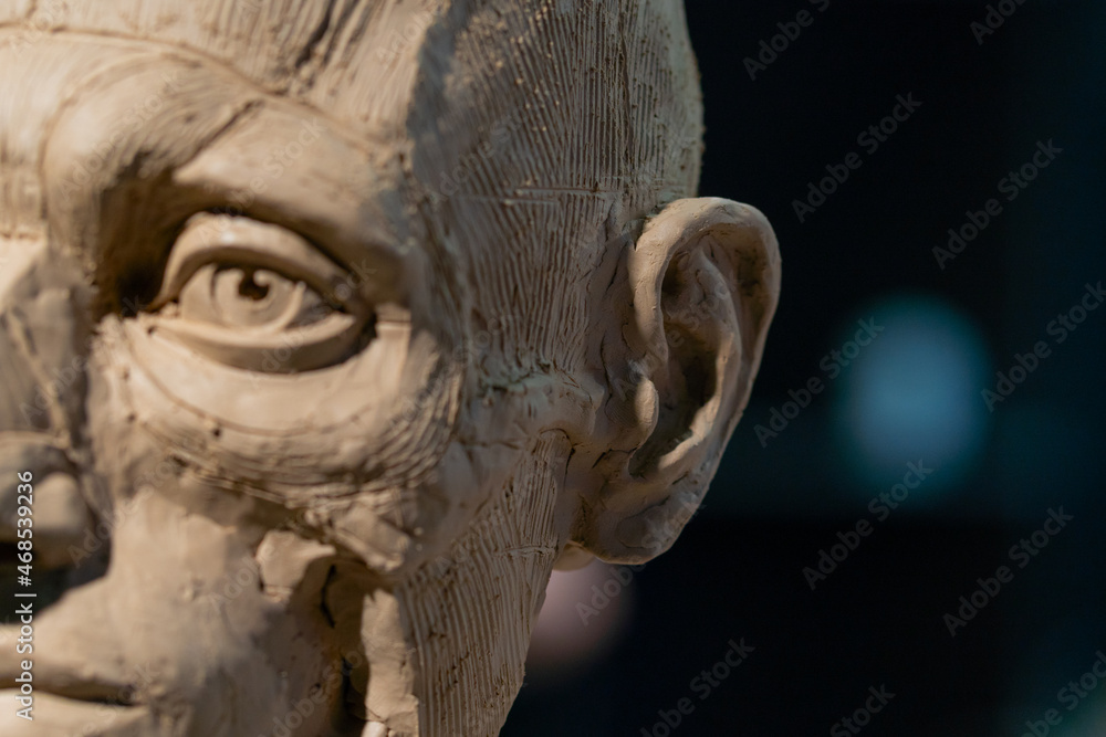 The process of creating ecorche. The sculptor is working. Sculpture of ...