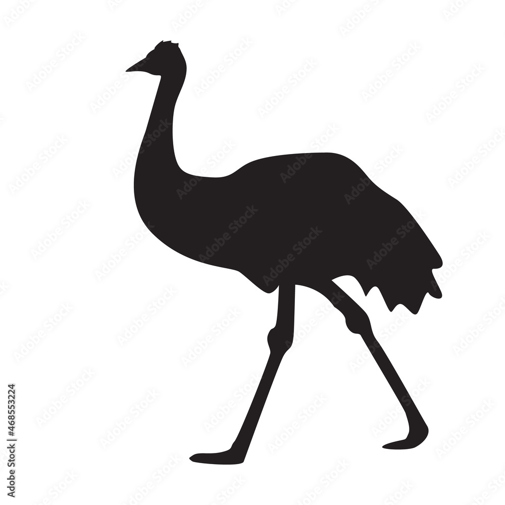 Emu black silhouette isolated on white background. Cassowary simple ...