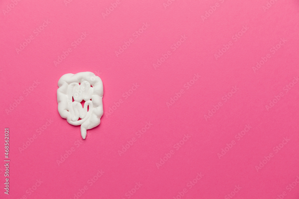 Intestines on a pink background, copy space. Gastrointestinal tract ...