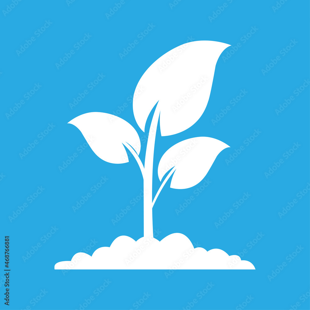 The tree that grows from seed is a big tree with green color and the ...