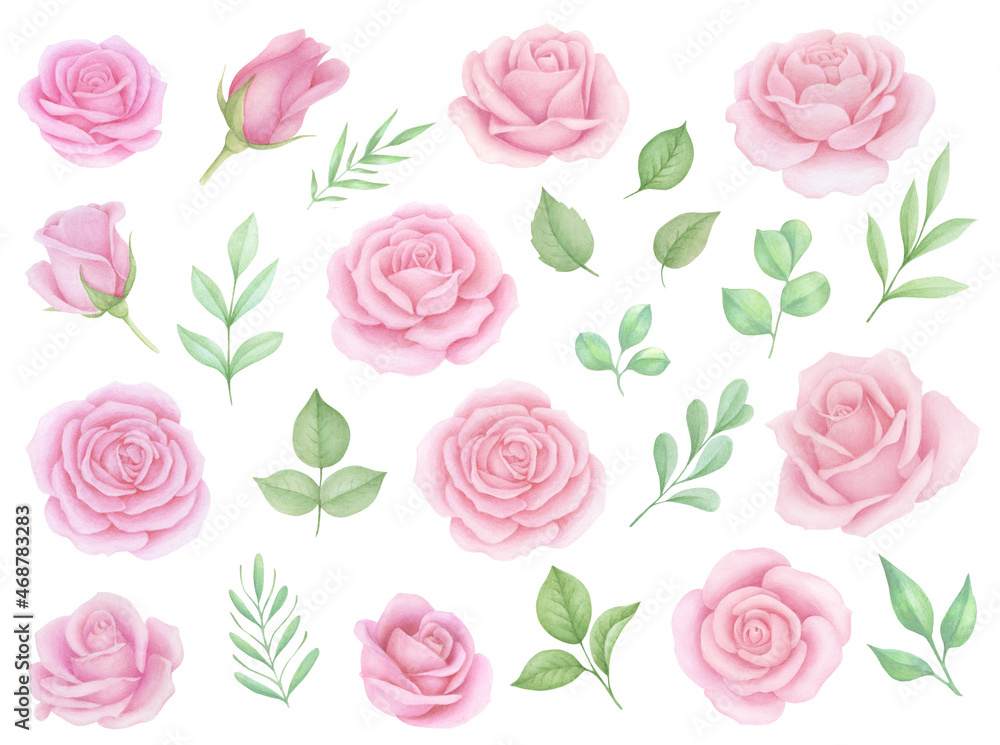 Watercolor Pink Roses Clip Art, Pink Blush Light Floral Clip art ...