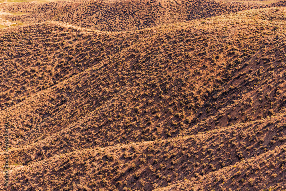 Desert landscape with folded mountains with sparse shrubs in asian ...