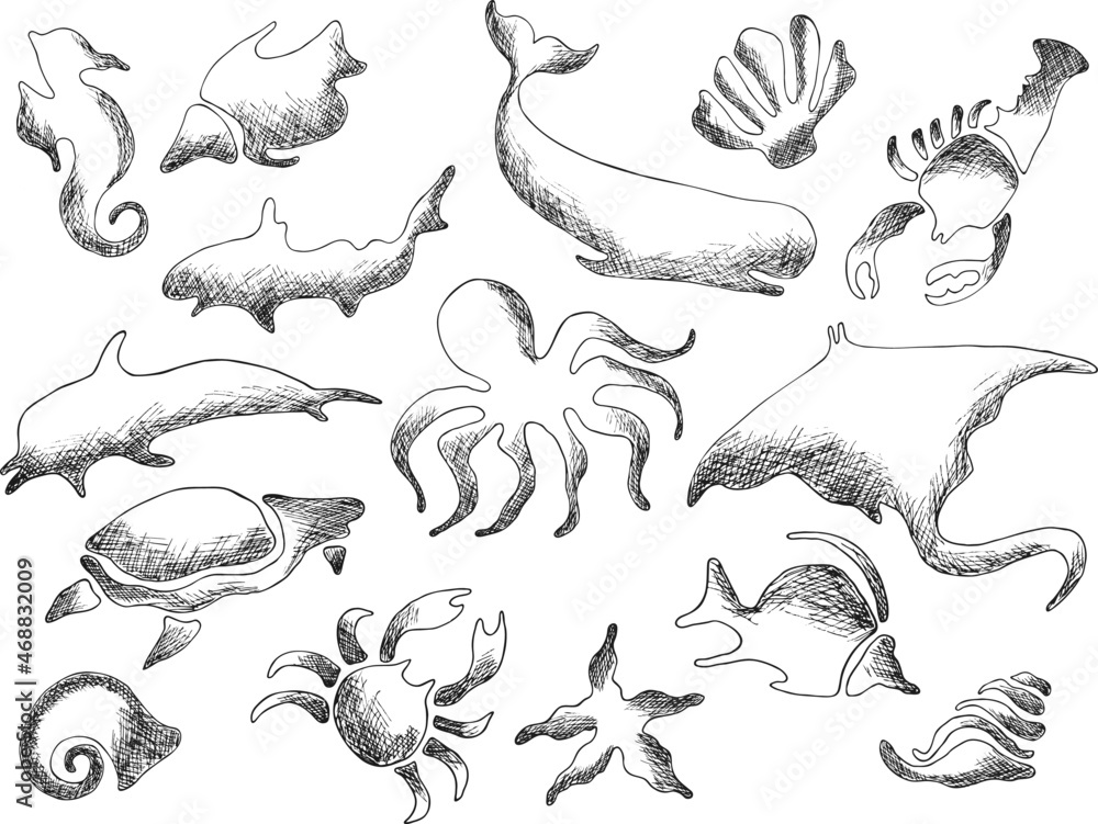 Vector vintage sea animals isolated. Outline clipart on transparent ...
