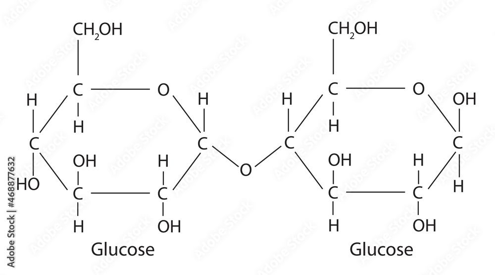Chemical illustration of maltose molecular structure Stock Vector ...