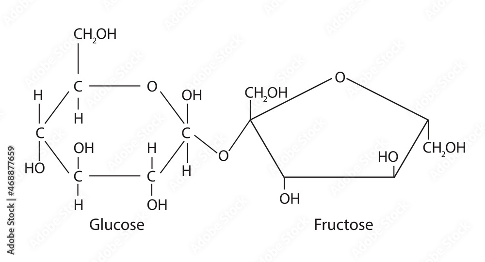 Chemical formula of Sucrose (Molecular structure of sucrose) Stock ...
