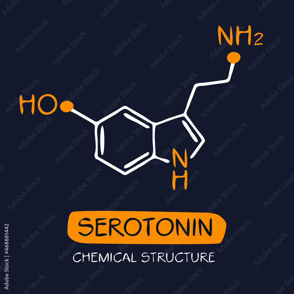 Serotonin, Skeletal chemical formula, Vector illustration. Stock Vector ...