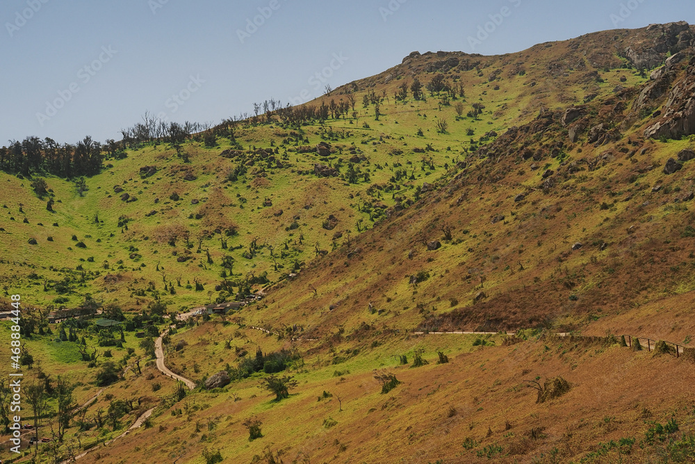Lomas de Lachay, Peru, in its final season, beginning of summer. Stock ...
