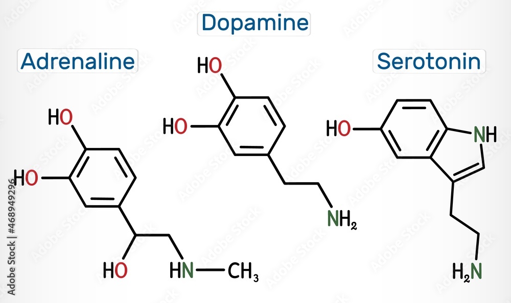 Adrenaline Structure