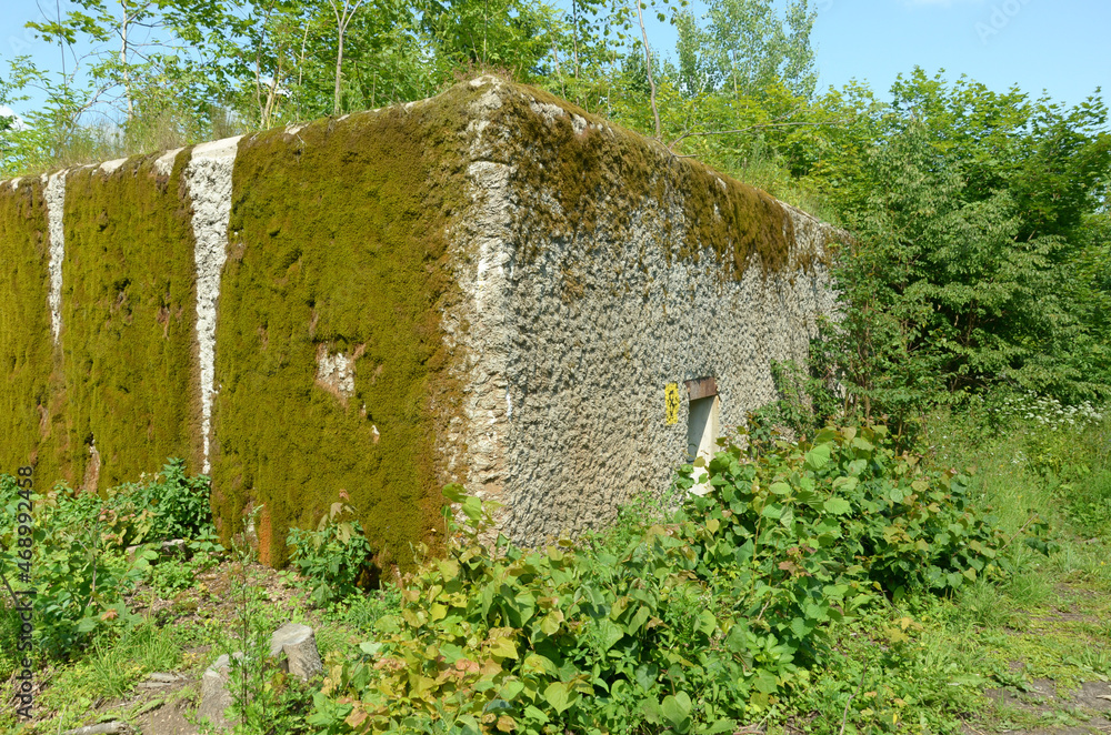 German bunkers from World War II in Masuria Poland. Stock Photo | Adobe ...