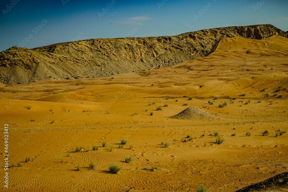 アラビア砂漠のイメージ Stock Photo | Adobe Stock