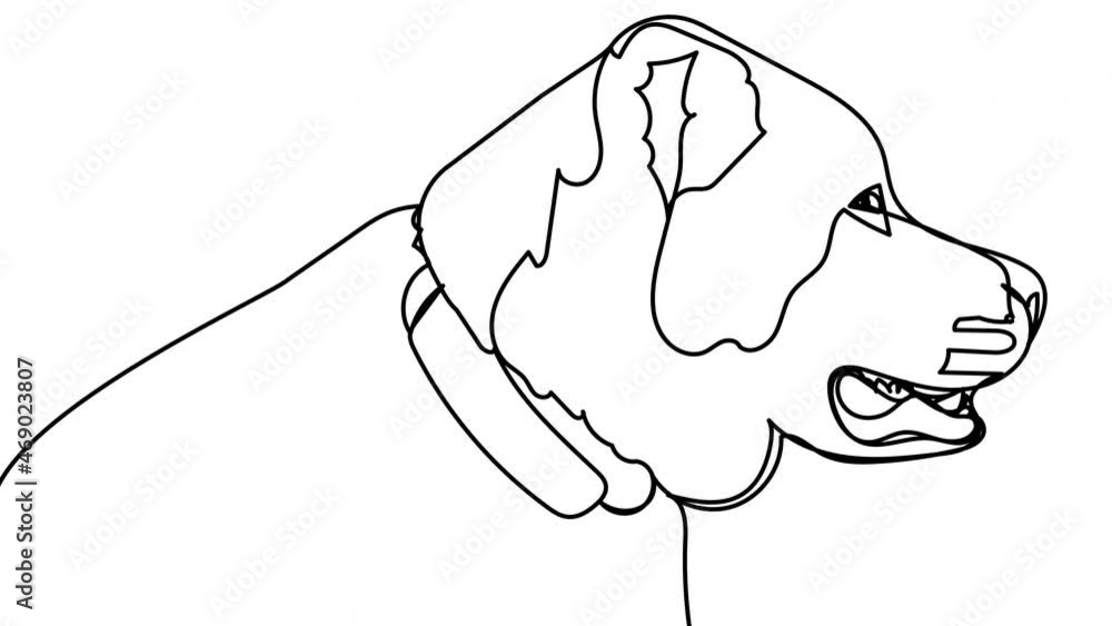 Self drawing Alabai one line on a white background. Animation of the ...