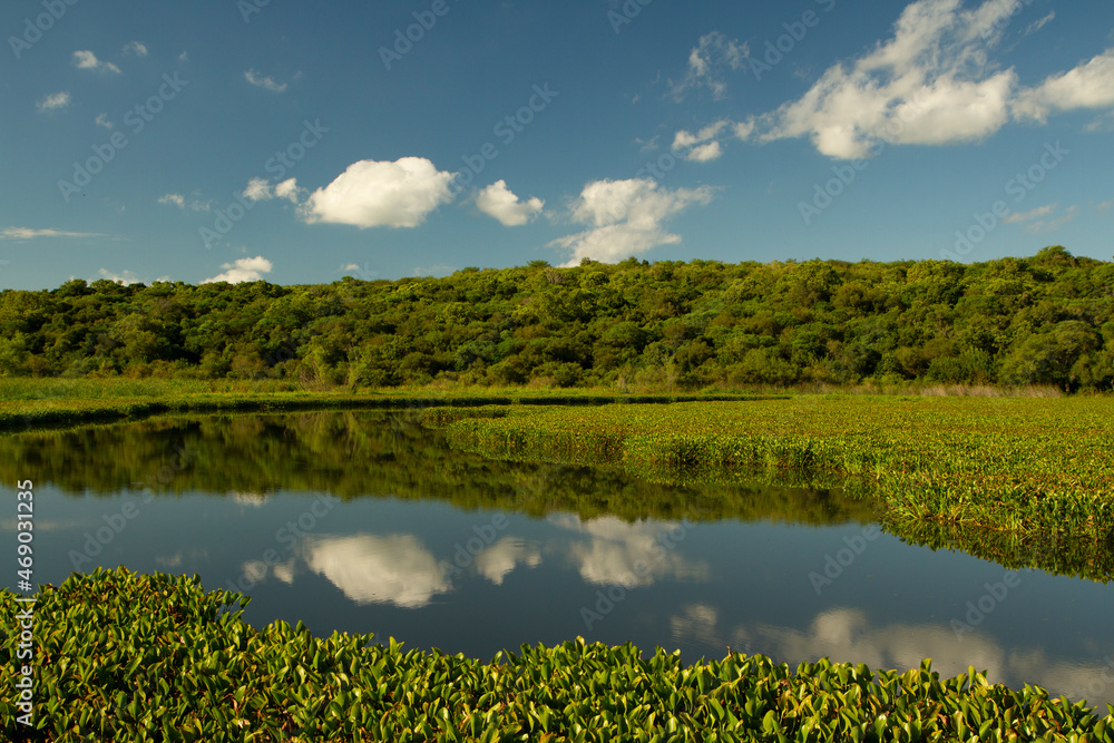 Foto Stock Panorama view of the lake and vegetation in Pre Delta ...