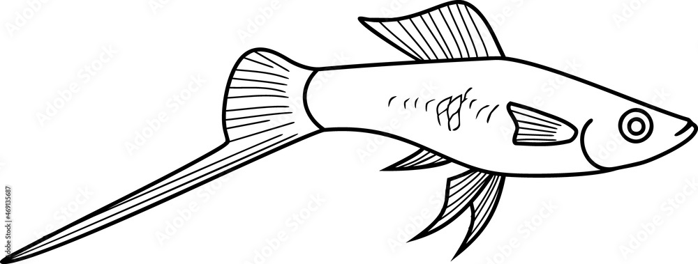 Coloring page with male swordtail aquarium fish isolated on white ...