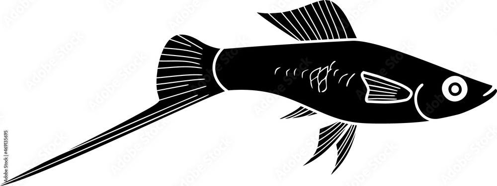 Black silhouette of male swordtail aquarium fish isolated on white ...