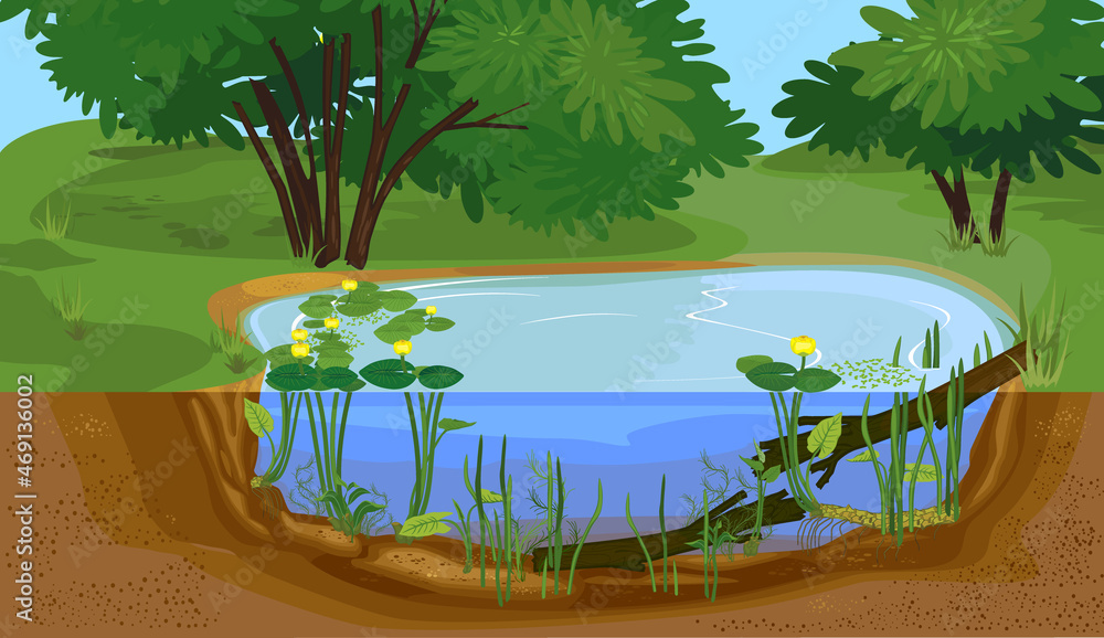 Stockvector Abstract cartoon landscape with split level freshwater pond ...