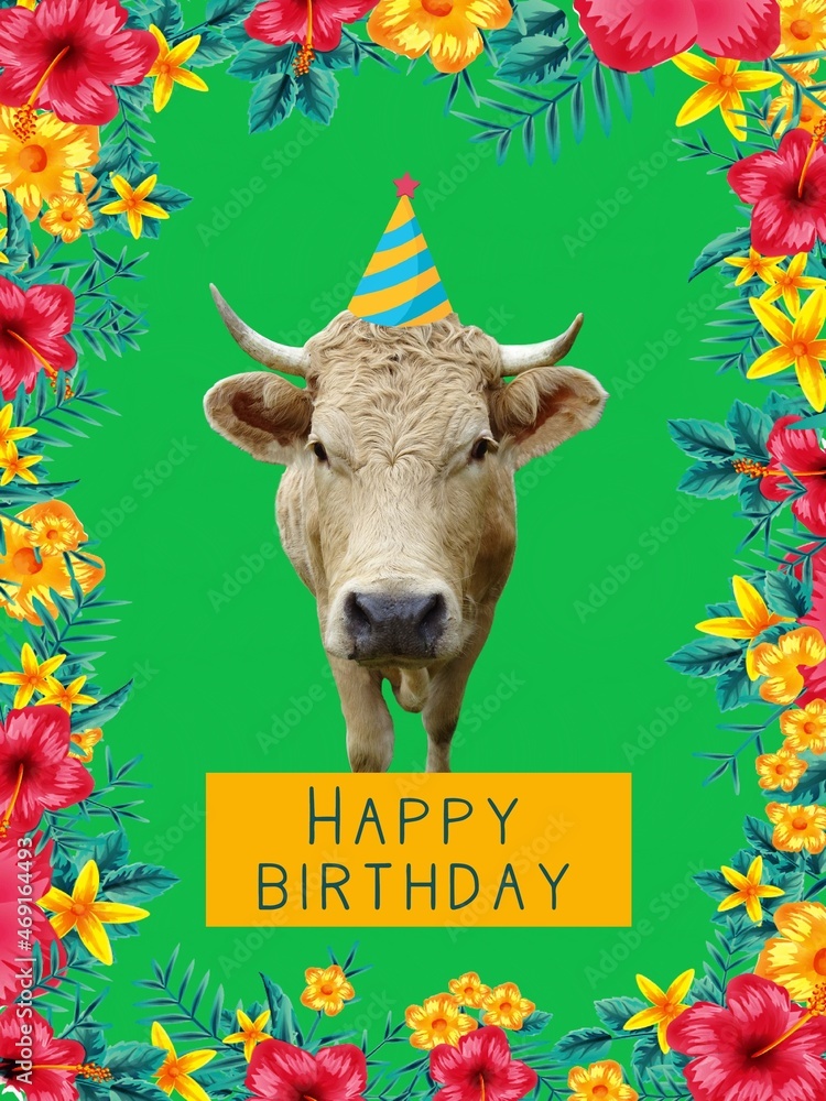 Birthday card, beige cow with party hat and text 'happy birthday' on a ...