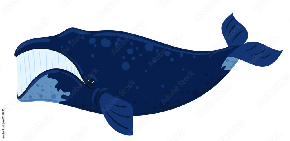 Cartoon whale bowhead, southern right whale, sperm hale. Underwater ...