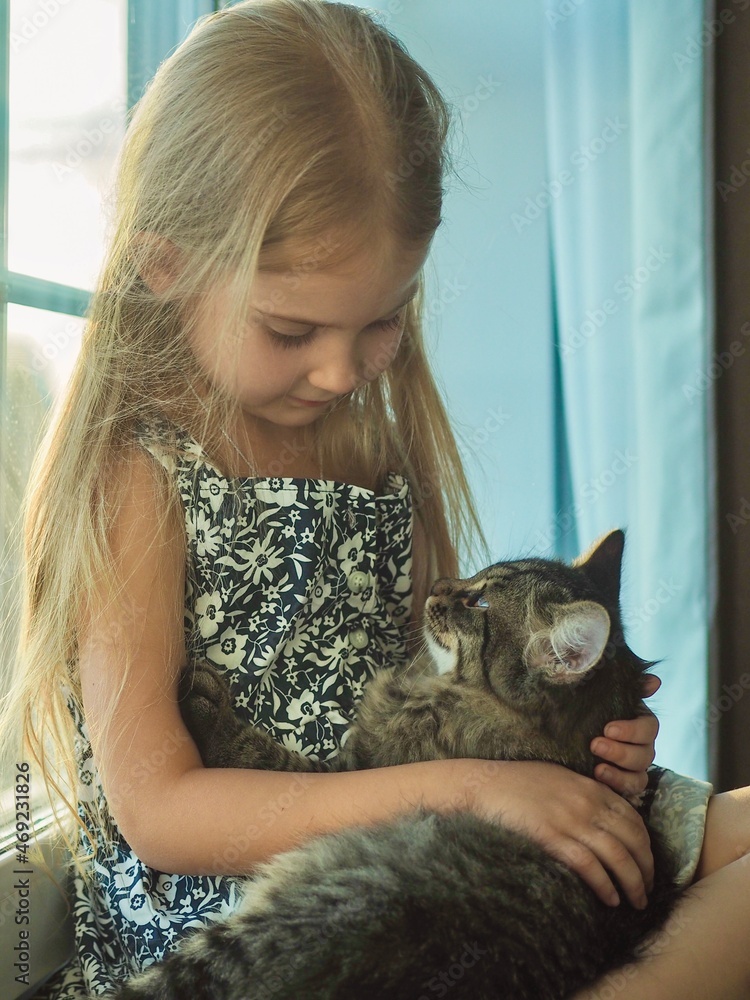Cute little girl sitting on windowsill with fluffy cat. Best friends ...