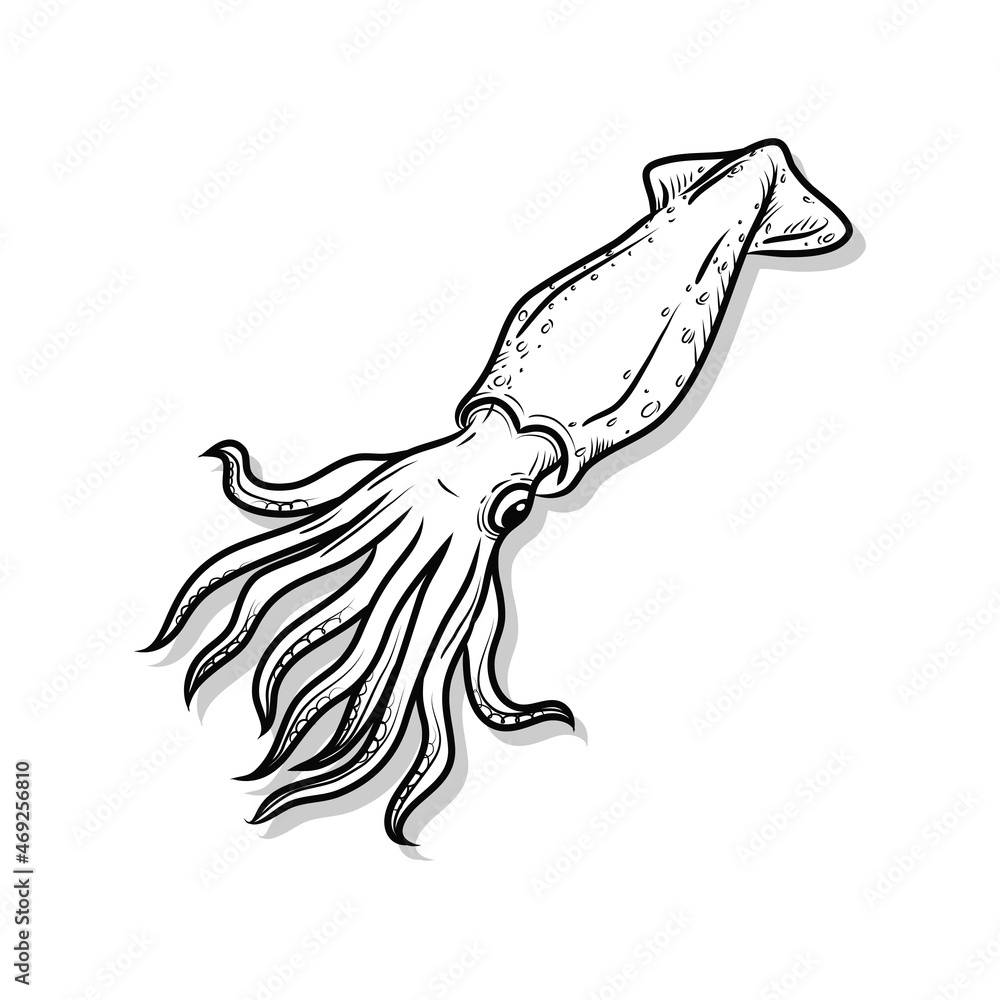 Squid hand drawn outline doodle icon. Vector sketch illustration of ...