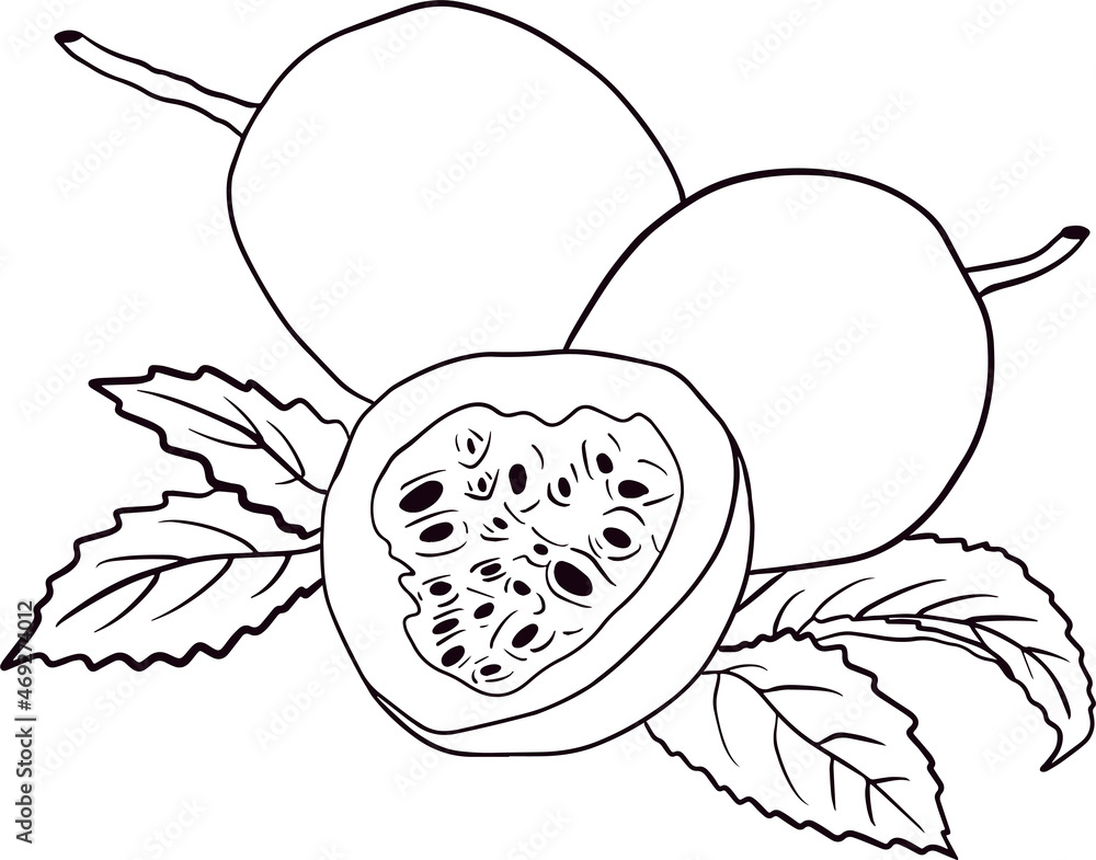 Tropical Fruit Coloring Pages