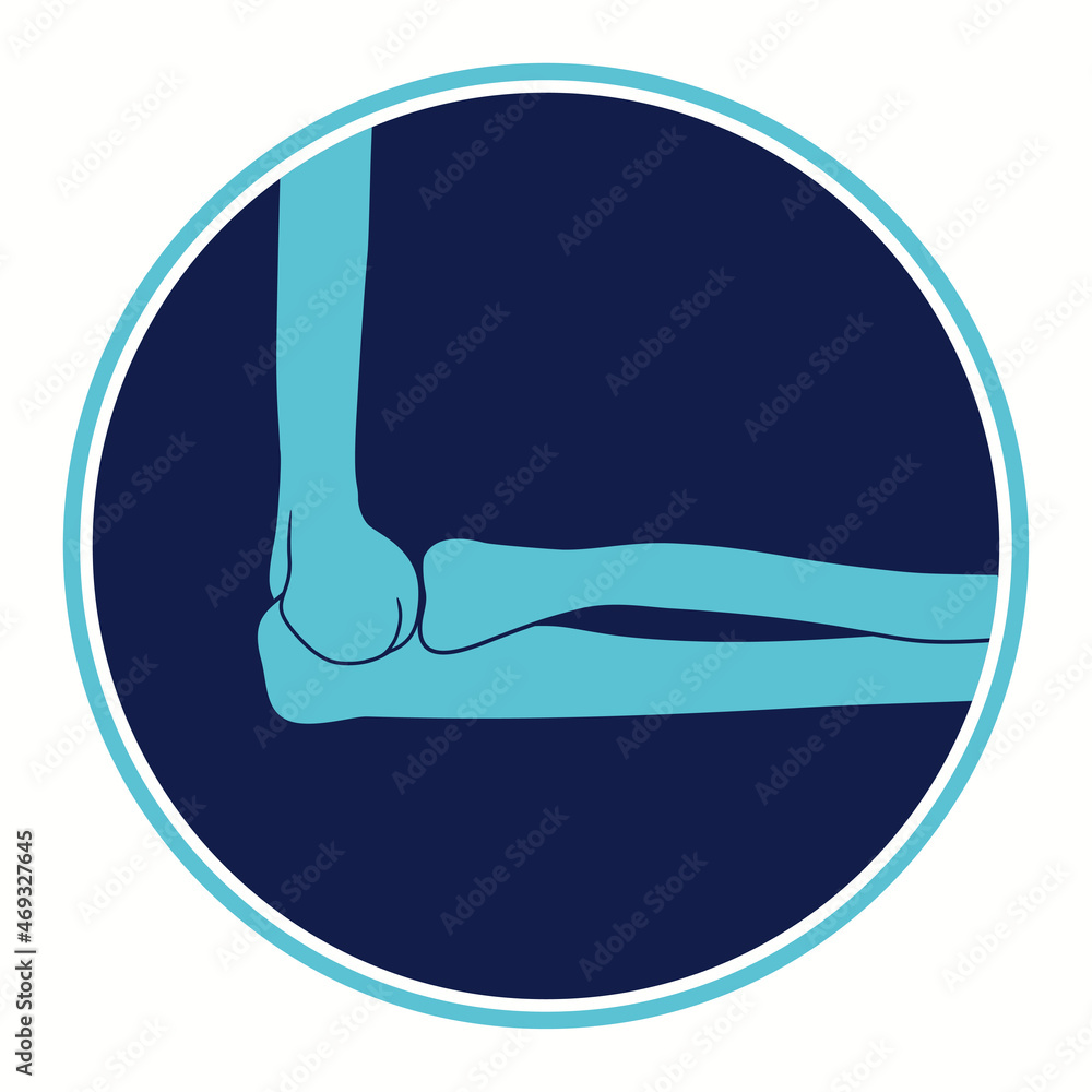 Elbow Joint Anatomy. Skeleton bone structure. medical education. Vector ...