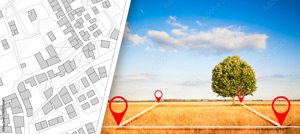 Land plot management - real estate concept with a vacant land and lone ...