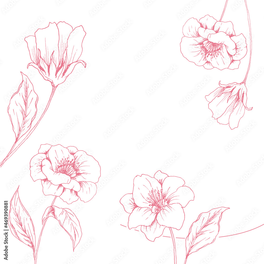 Vectores de flores con fondo blanco. Flores rosas. Prado de flores ...