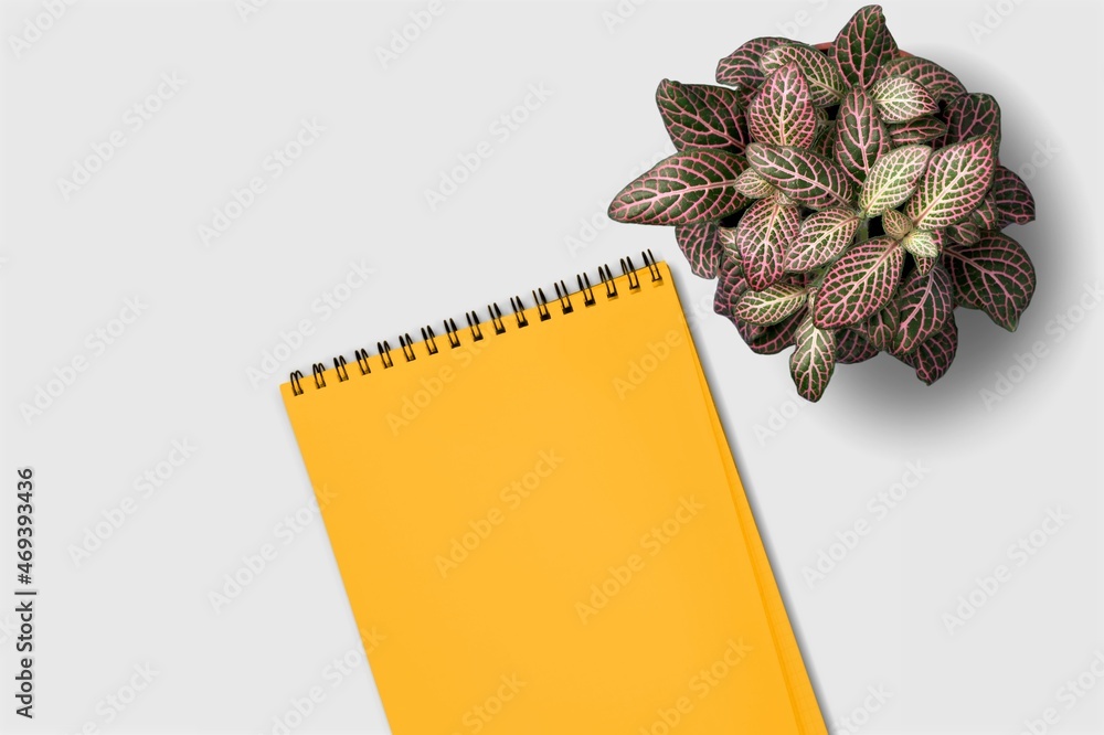 Calendar With Tear off Sheets A Desktop Calendar For Planning calendar-with-tear-off-sheets-a-desktop-calendar-for-planning