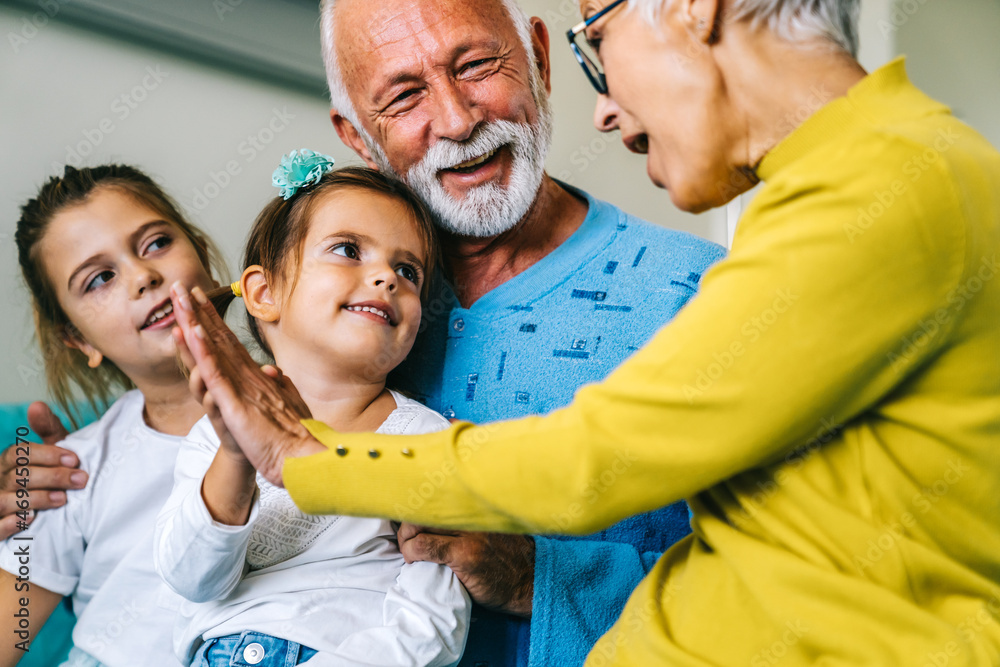 Happy children having fun and love with their grandparents together ...