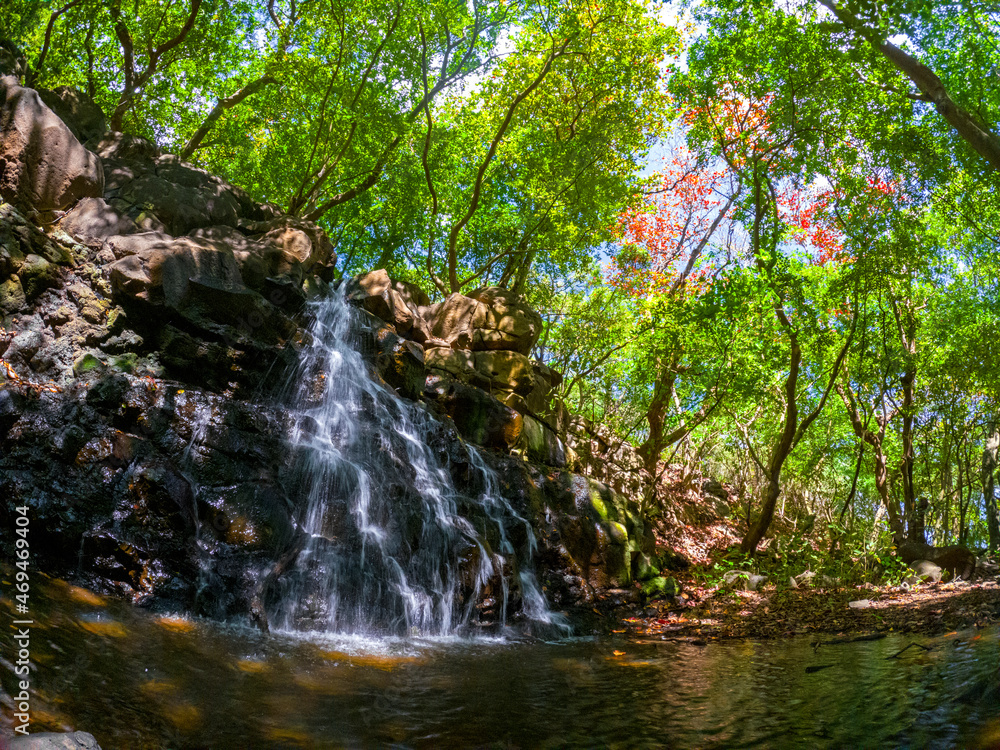 Long exposure view of a waterfall hidden in a forest located in ...