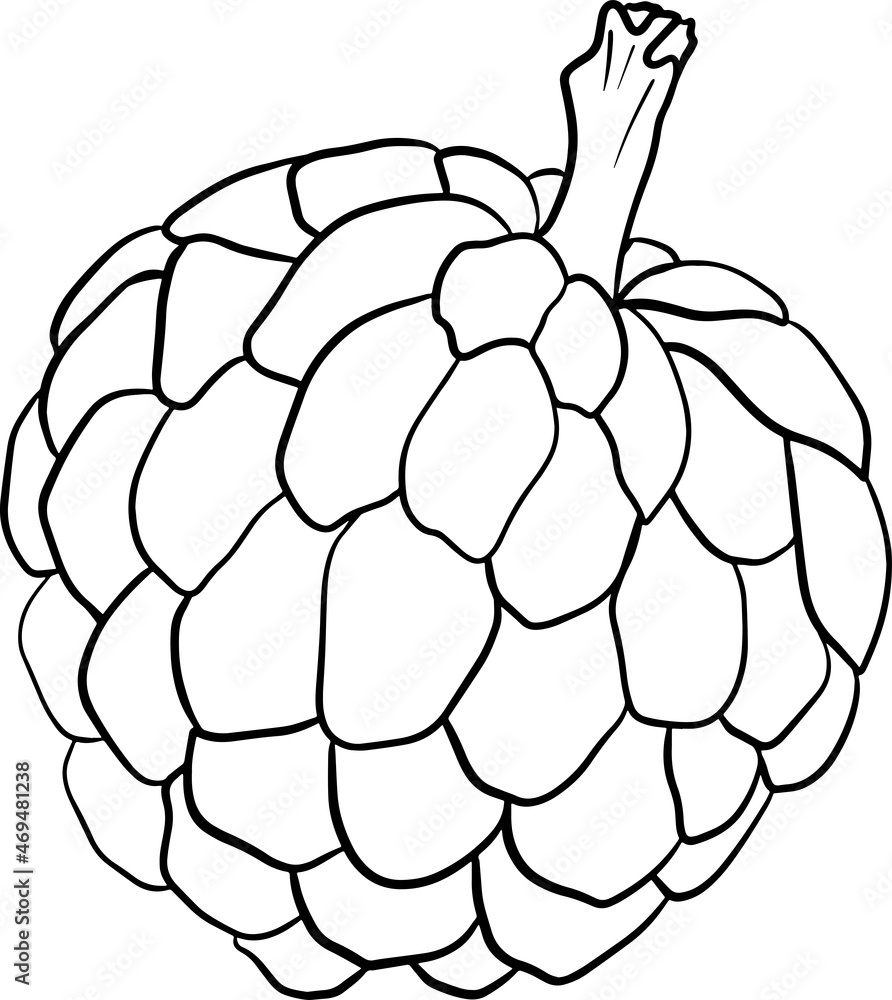Custard Apple Clipart Black And White