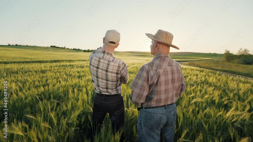 Two farmers are standing in the middle of a field and talking about the ...