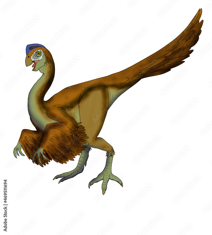 Realistic illustration of a dinosaur of the oviraptor species Stock ...