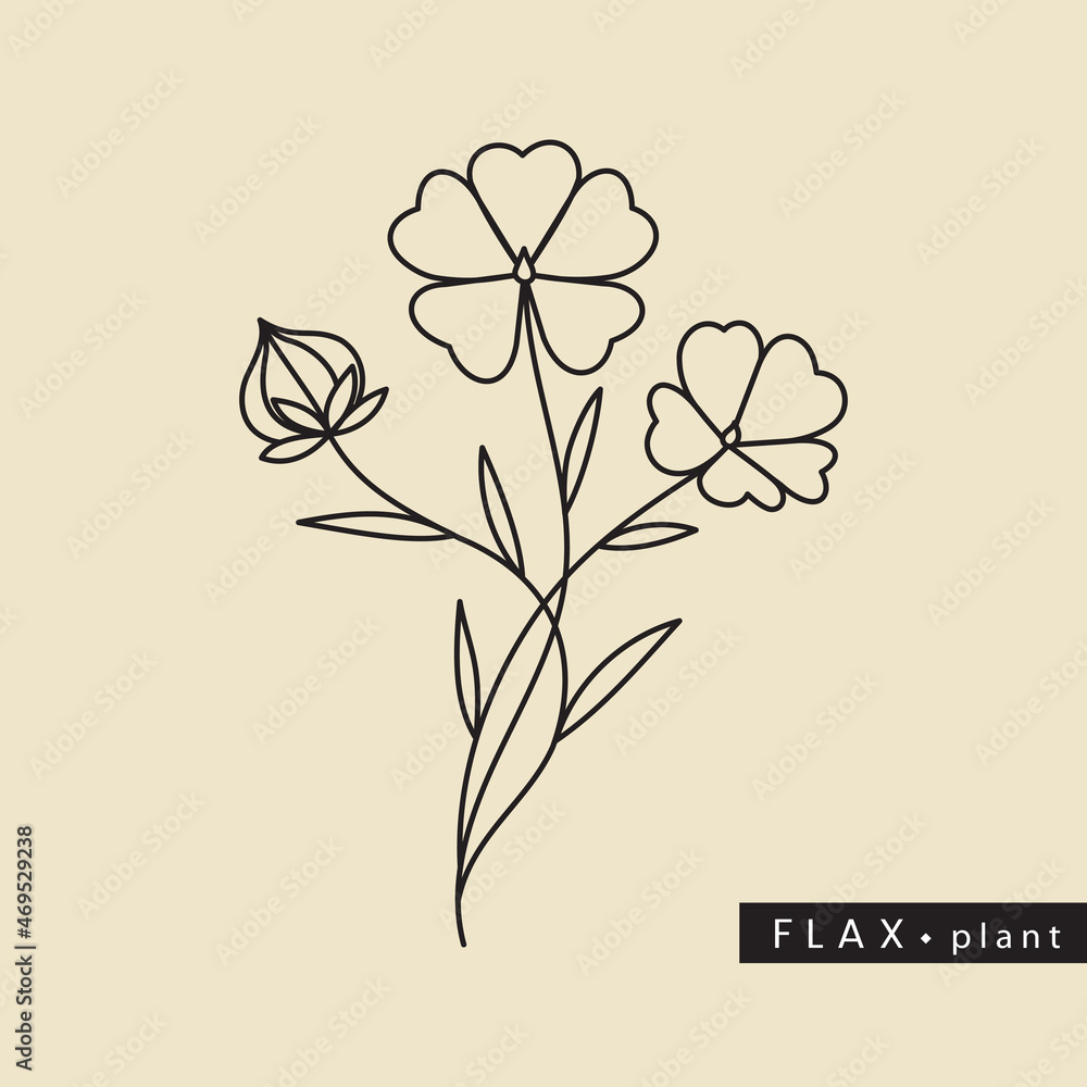 Vector illustration of cultivated dry flax plant with seeds in outline ...