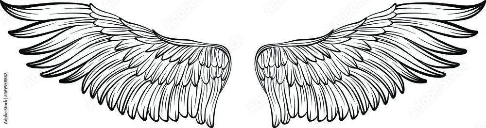 Bird wings vector illustration tattoo style. Hand drawn design element ...