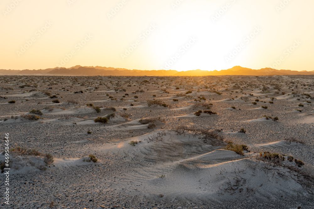 Golden Desert Landscape at Dusk. The last rays of the sun illuminating ...