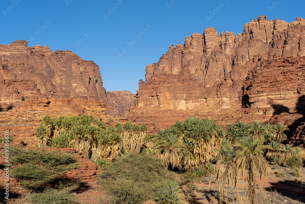 Wind-sculpted sandstone columns of Wadi Al Disah (Valley of the Palms ...