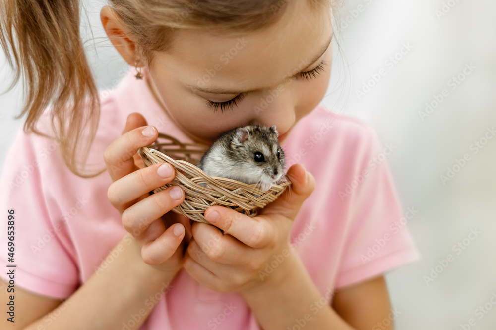 Happy little girl with a djungar hamster in her arms. The hamster ...
