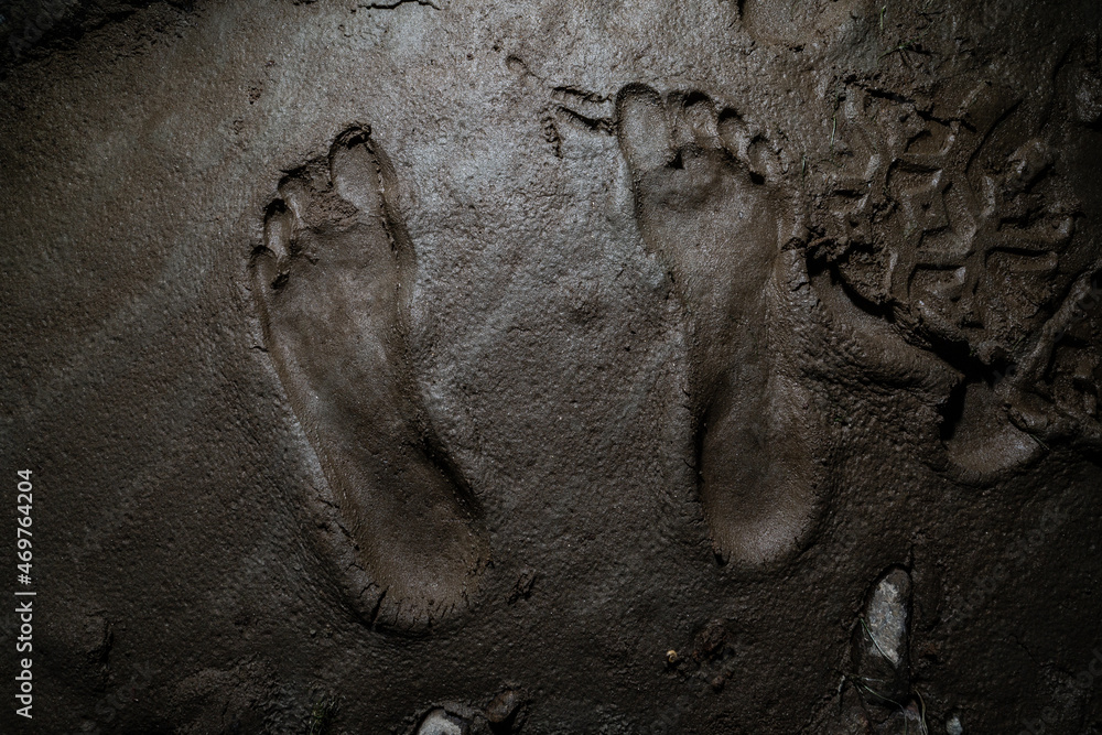 footprints in the mud Stock Photo | Adobe Stock
