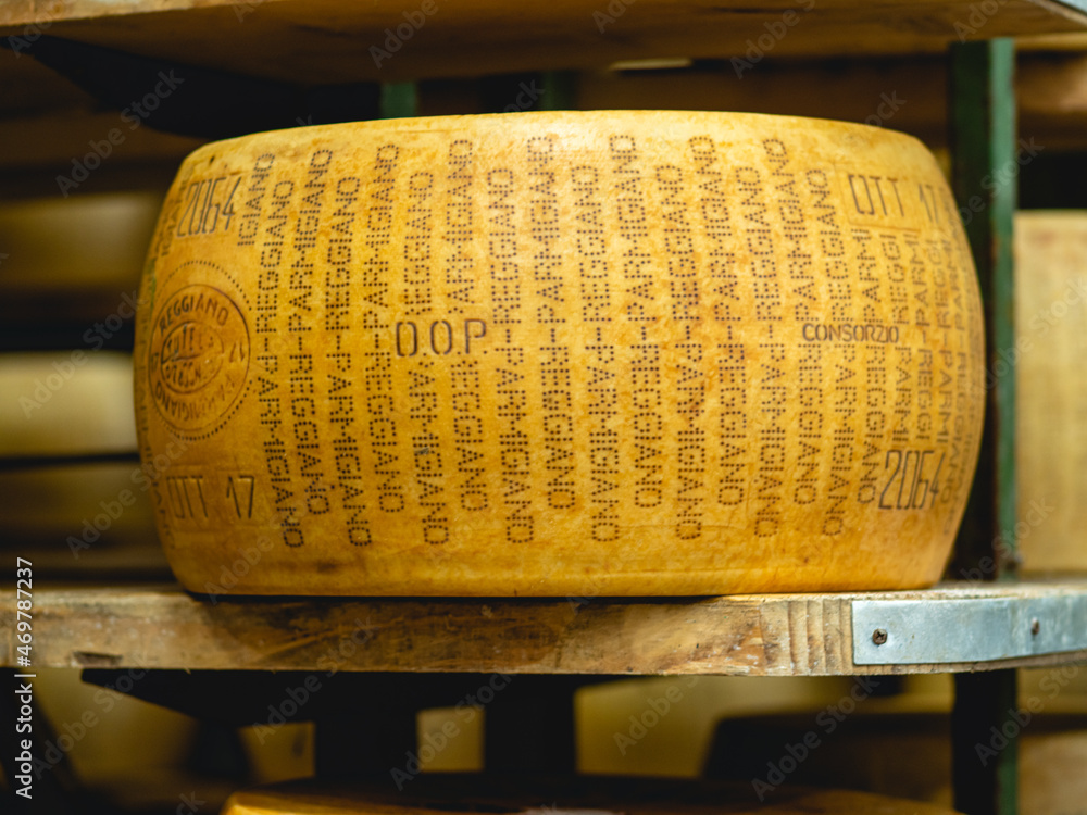 parmesan parmiggiano reggiano hard organic cheese wheels in the dairy ...