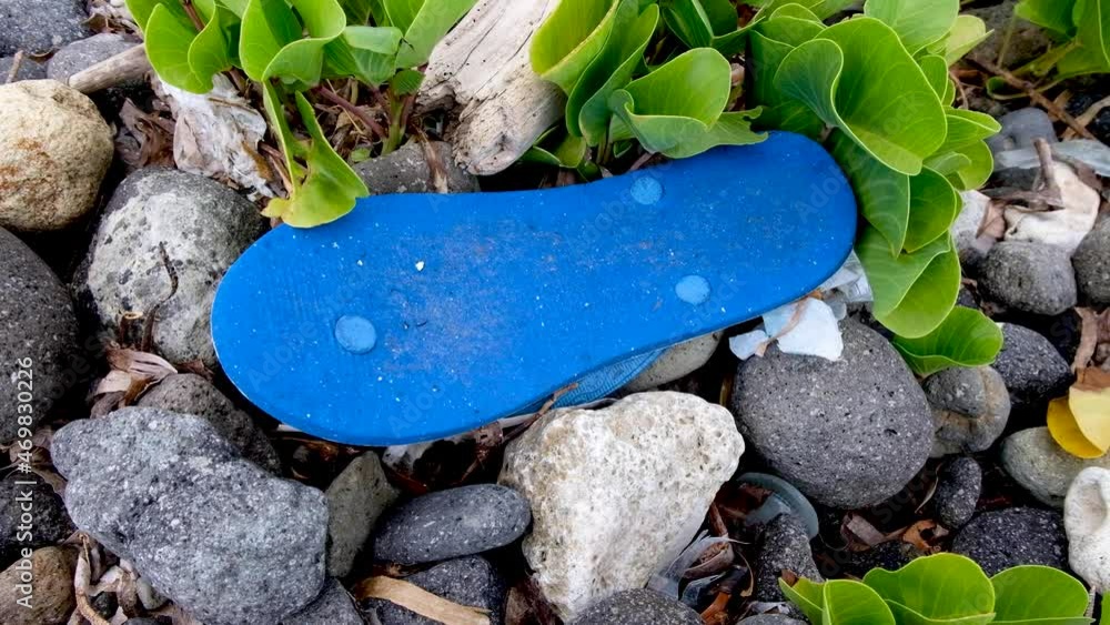 Ocean and beach plastic and rubbish clean up, one of many rubber flip ...