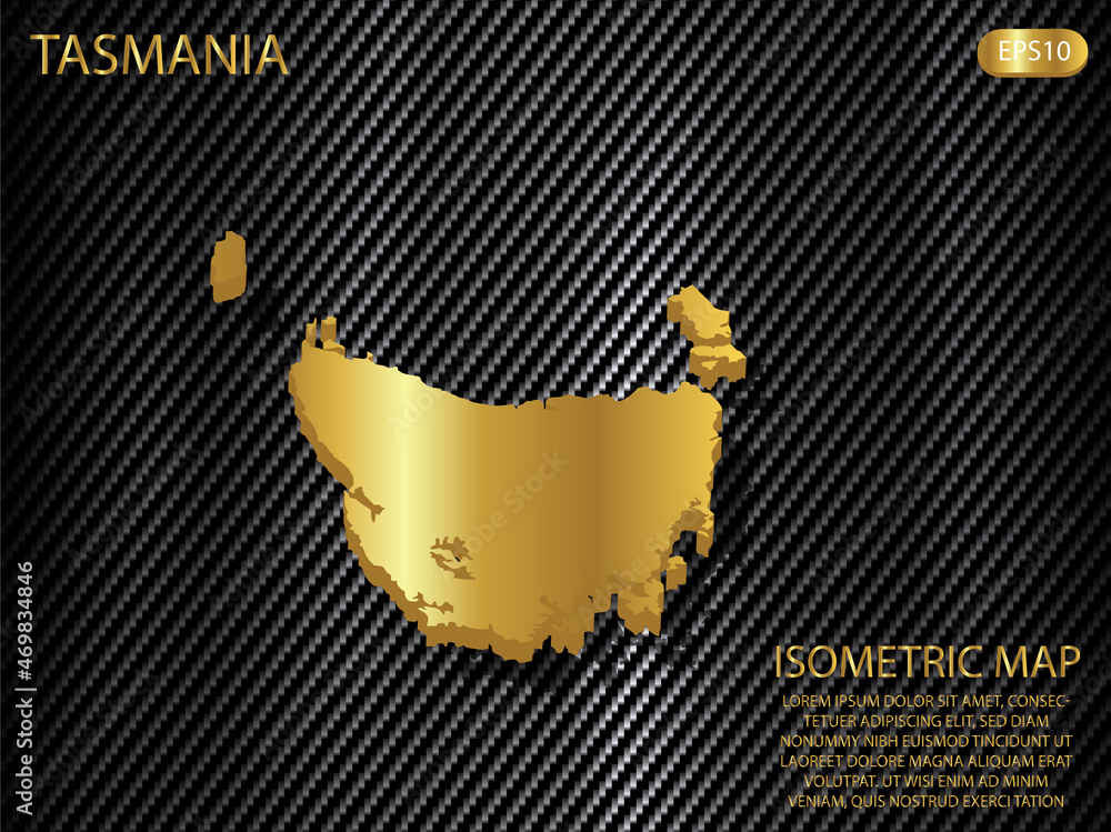 isometric map gold of Tasmania on carbon kevlar texture pattern tech ...
