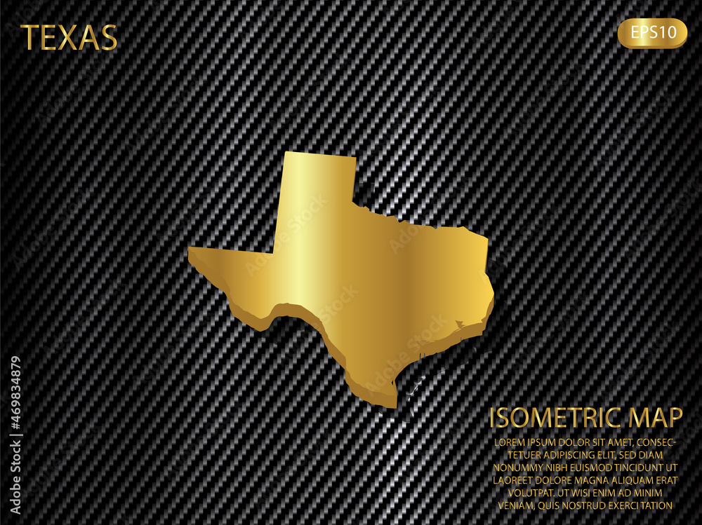 Vecteur Stock isometric map gold of Texas on carbon kevlar texture ...