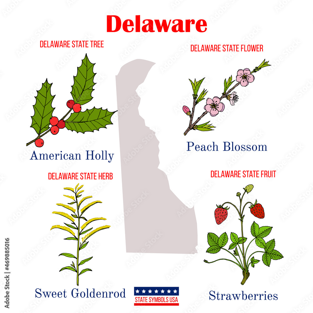 Delaware. Set of USA official state symbols Stock Vector | Adobe Stock