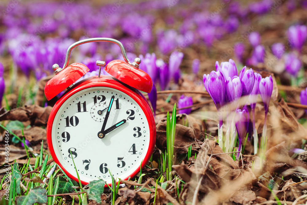 Daylight saving time reminder. Spring natural background with first ...