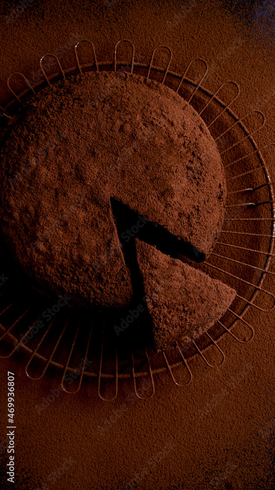 Chocolate cake dusted with coco powder Stock Photo | Adobe Stock